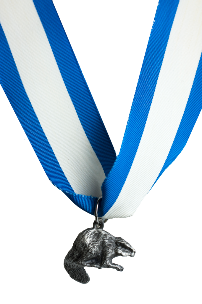 Annual Council Nomination Awards – Support Center | Grand Canyon ...